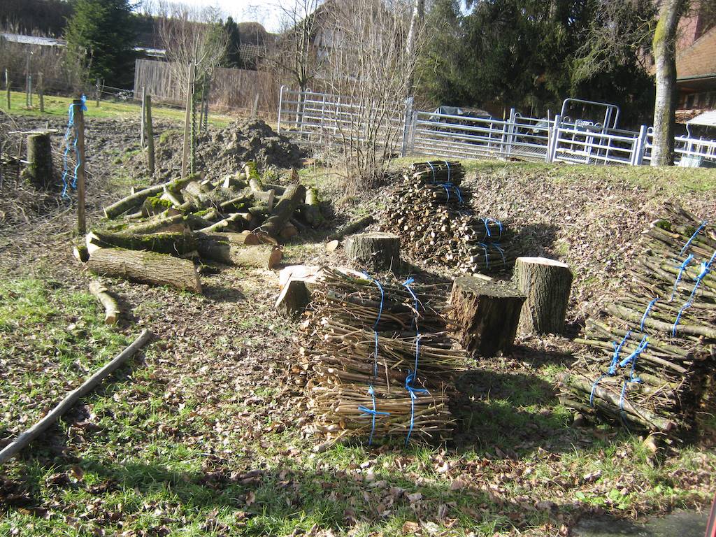 Wedele | AUSWANDERERBLOG